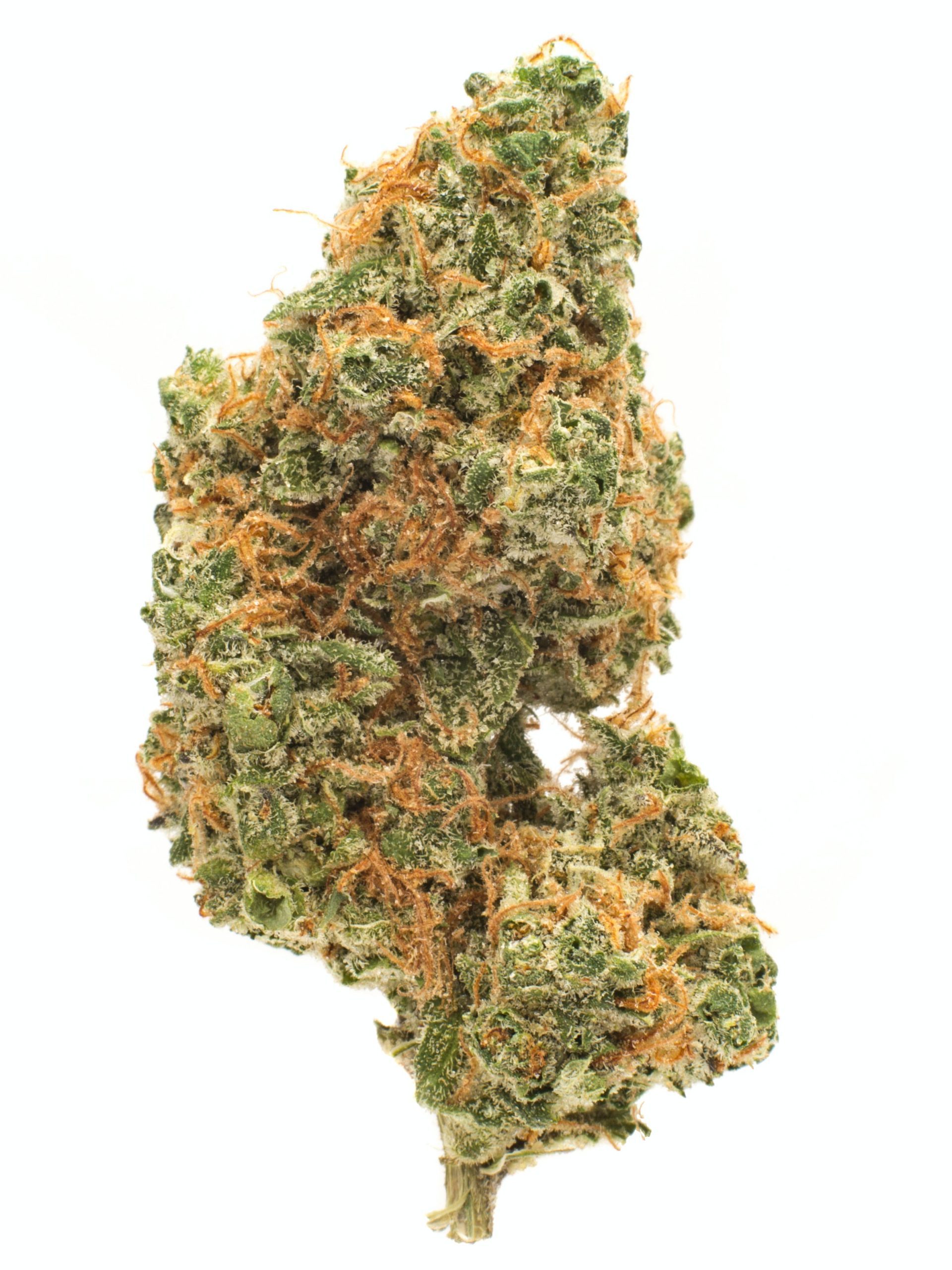 AK-47 OG: The Creative Strain | Pairing Recs | Flavor Fix