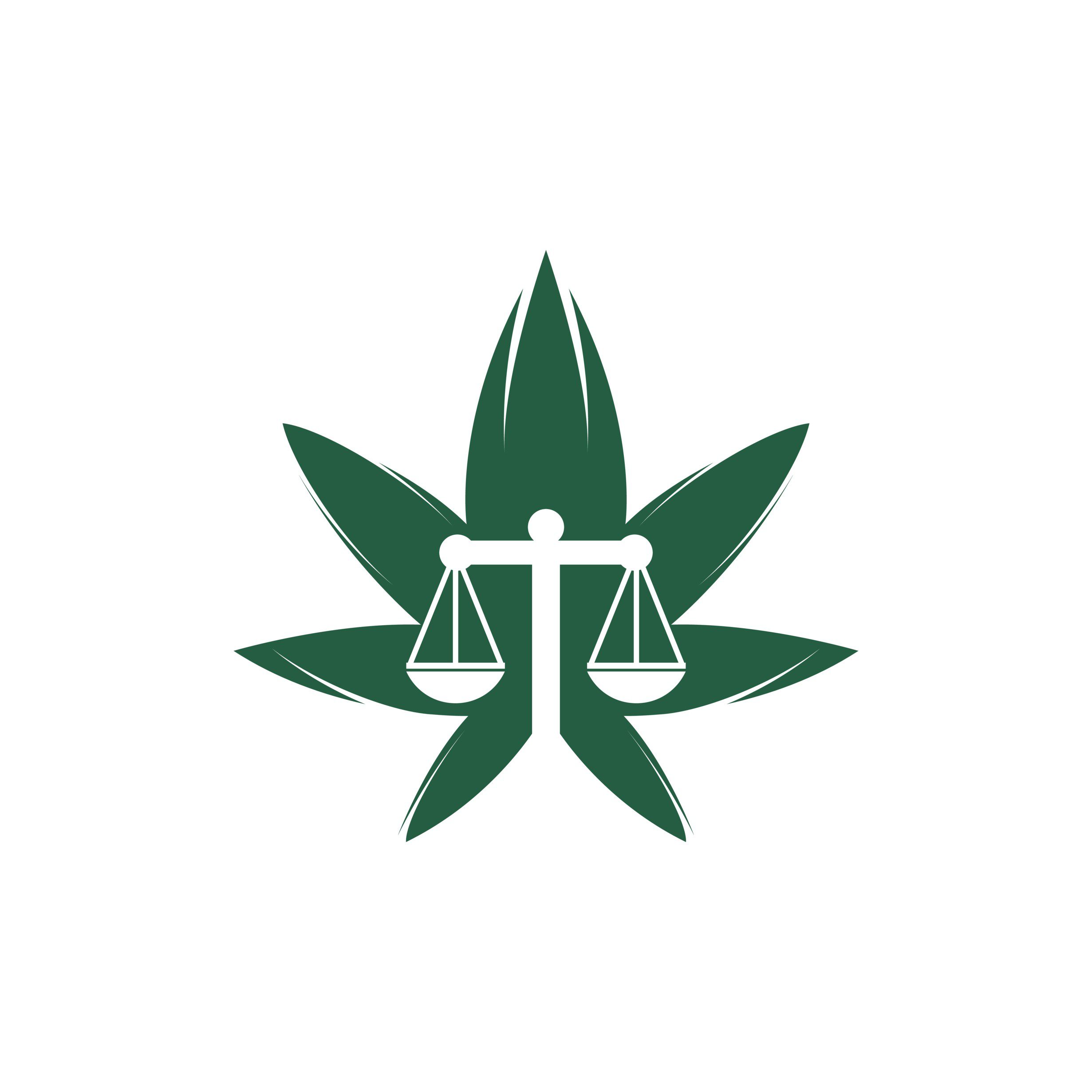 New Marijuana Legislation in Virginia, After House and Senate Approved ...