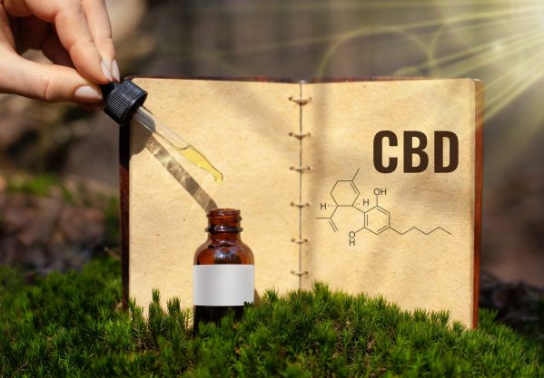 The 8 Best CBD Books | Recipes, Self-Care | Flavor Fix