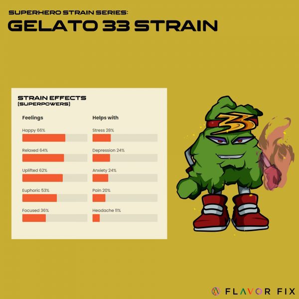Gelato 33 Strain - Larry Bird Strain Info - Flavor Fix