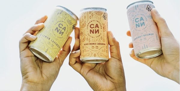 Cann Drink - THC Infused Seltzer - Flavor Fix