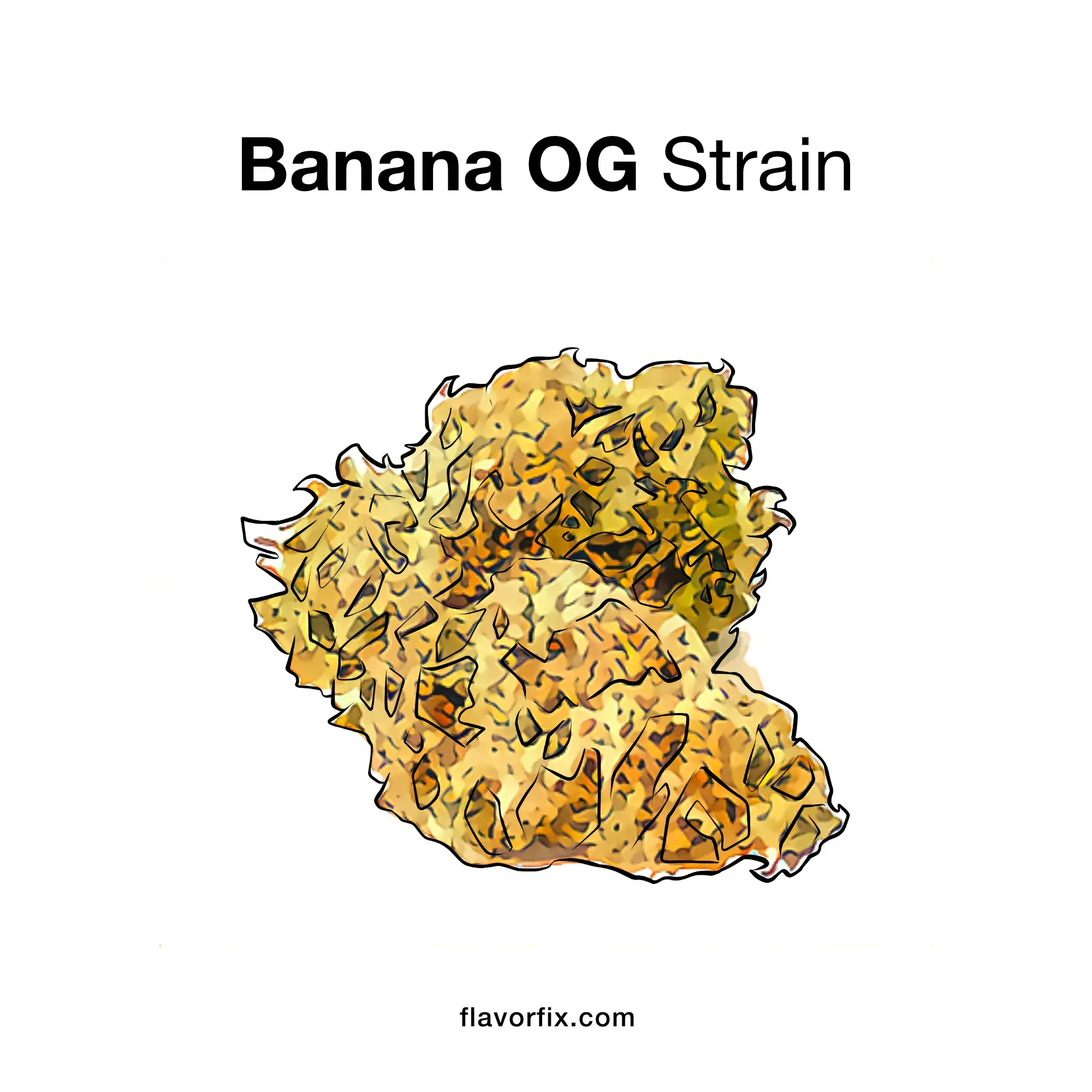 Banana OG Strain Information | Cannabis Strains | Flavor Fix