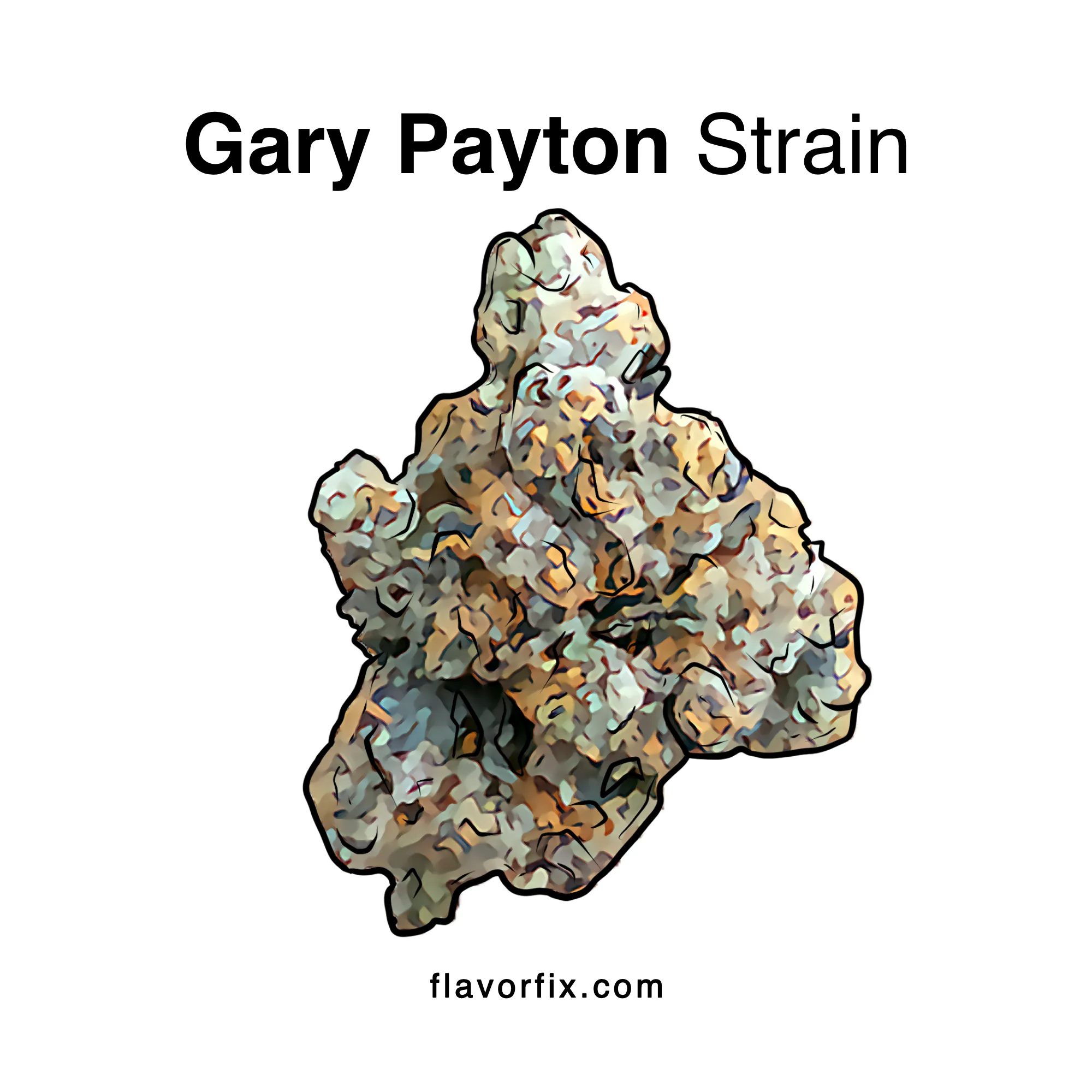 Gary Payton Strain | Marijuana Strain Ratings | Flavor Fix