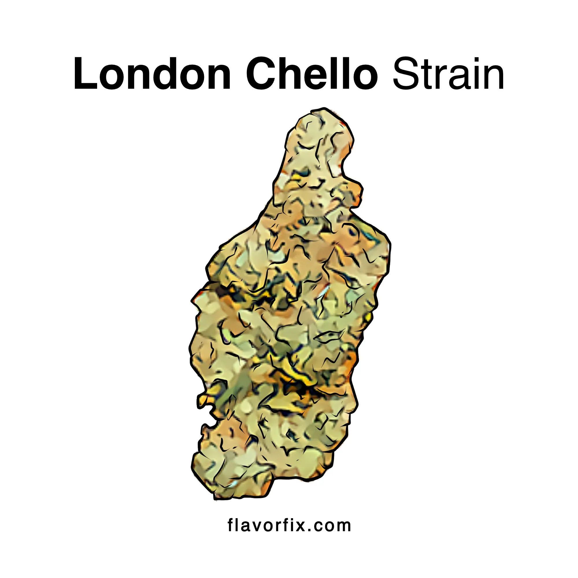 London Chello Strain | Cannabis Info & Ratings | Flavor Fix