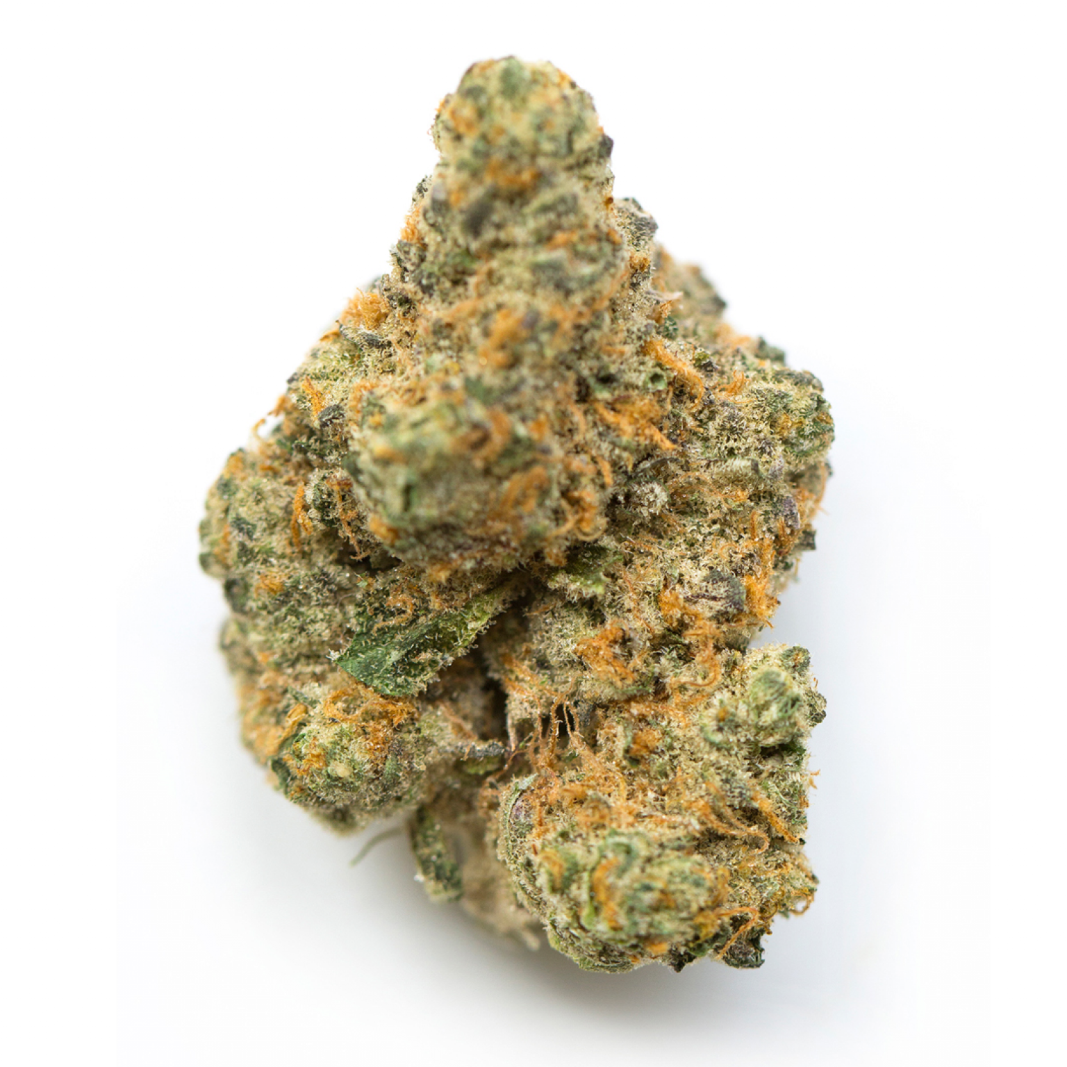 Triangle Mints Strain | Cannabis Strains | Flavor Fix