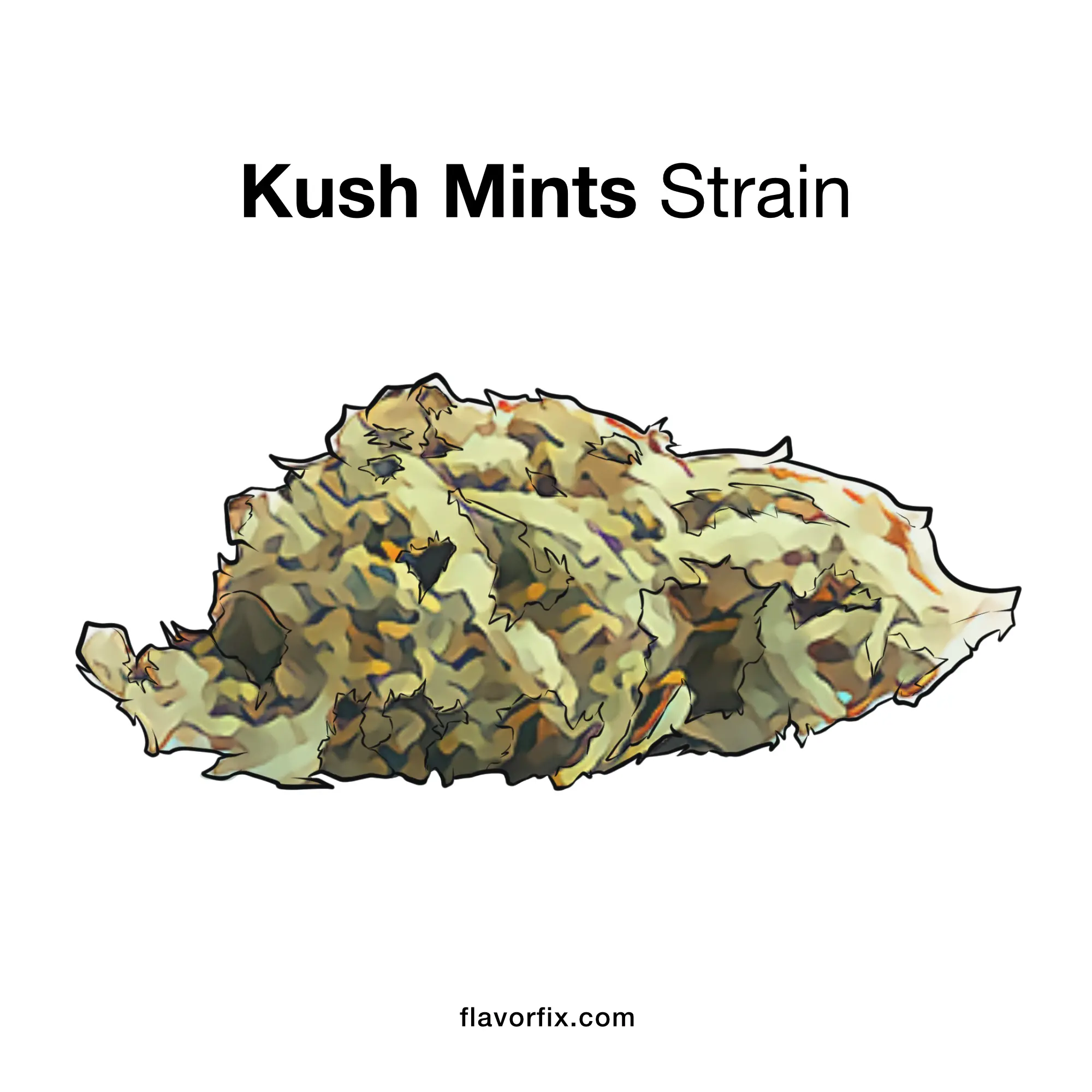 Kush Mints Strain Info | Cannabis Strains | Flavor Fix