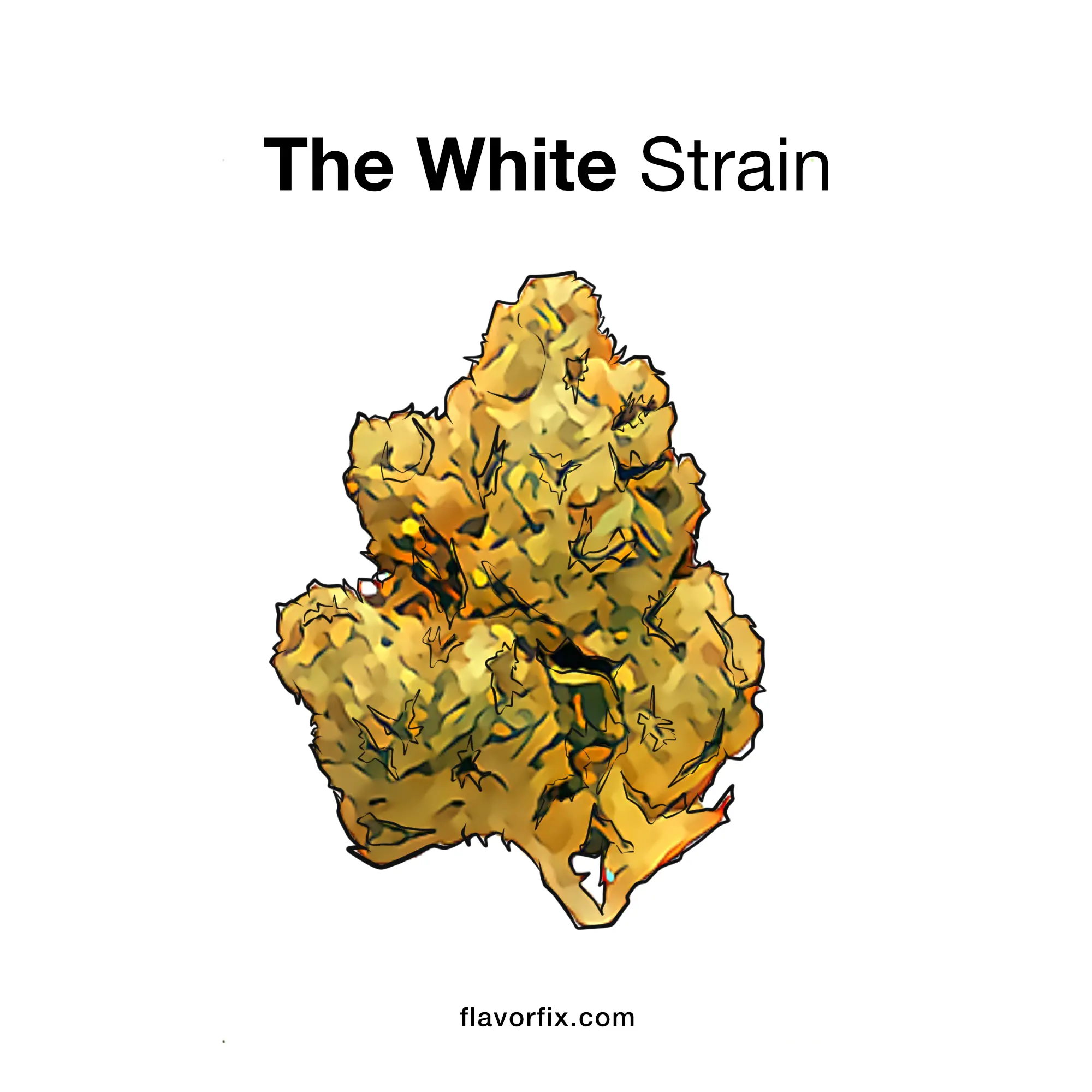The White Strain Information | Cannabis Strains | Flavor Fix