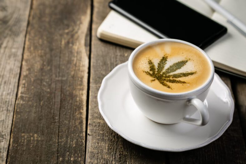 Weed-Infused Restaurants NYC | 5 Hidden Ones | Flavor Fix