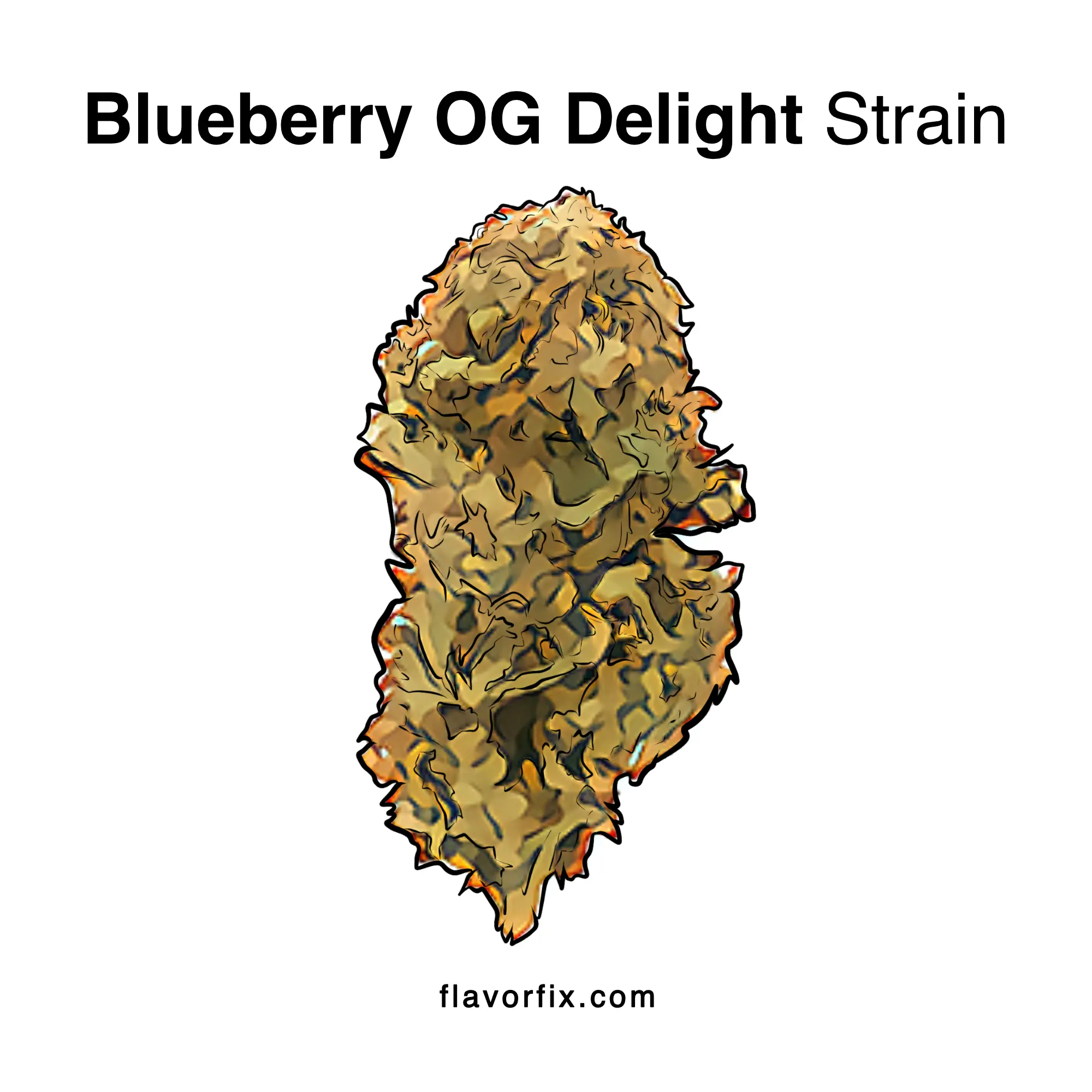 Blueberry OG Delight | Strain Information | Flavor Fix