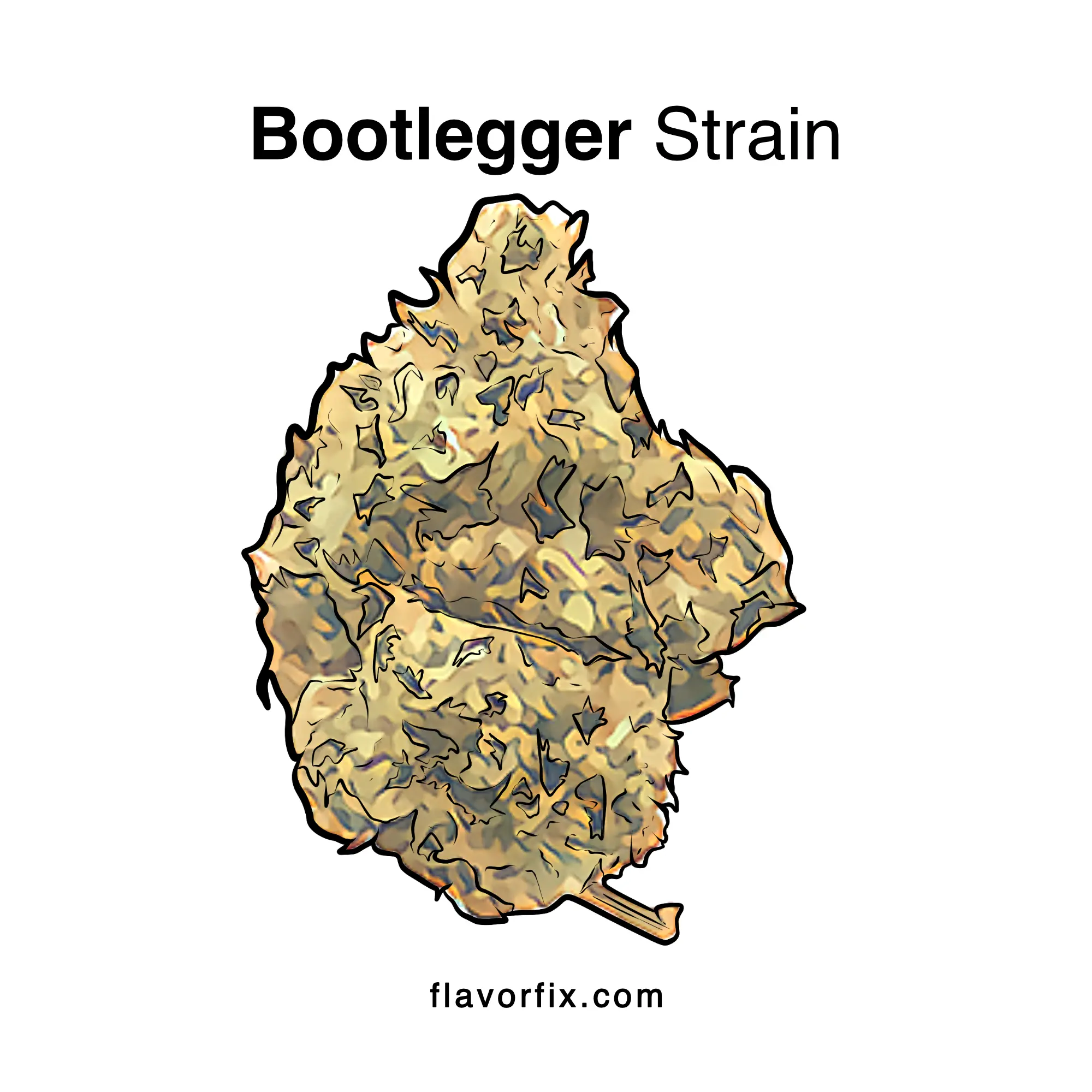 Bootlegger Strain | Get Baked | Flavor Fix