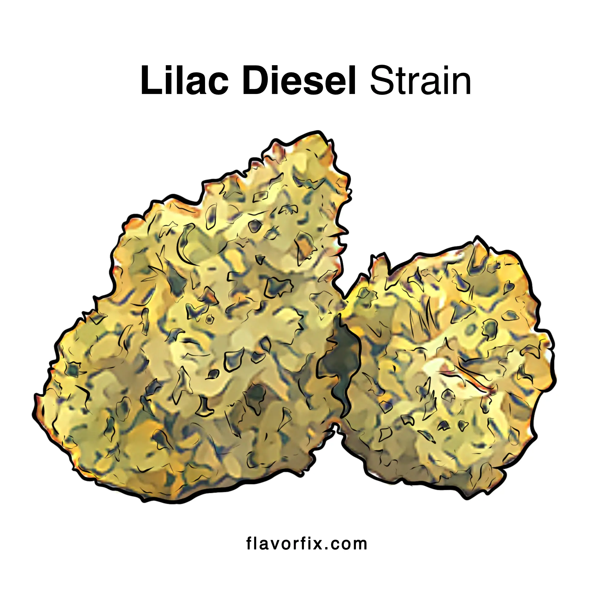 Lilac Diesel Strain | Cannabis Strains Info| Flavor Fix