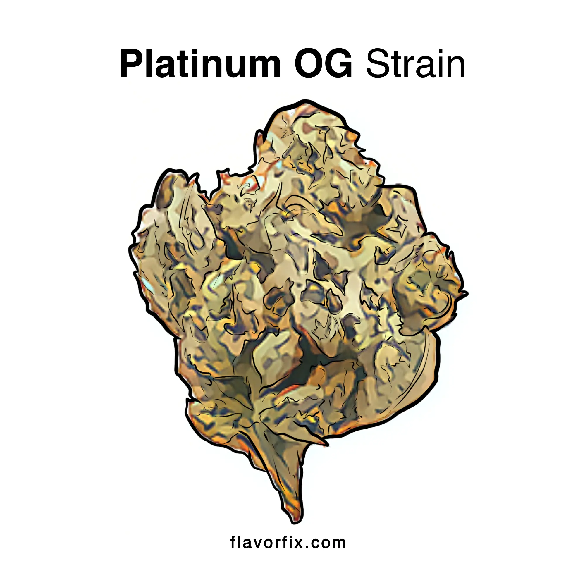 Platinum OG Strain | A Kush Heavy Bud | Flavor Fix