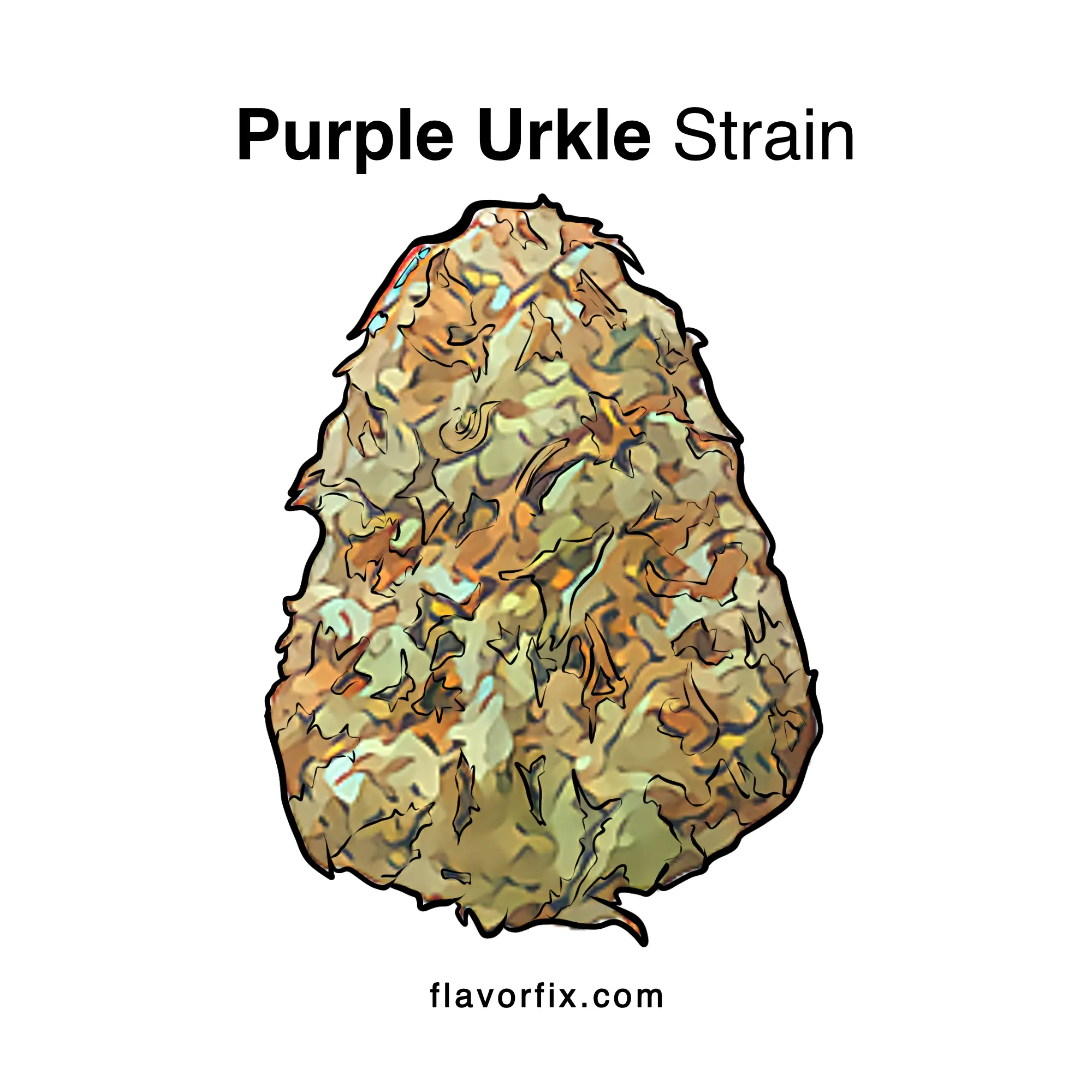 Purple Urkle Strain | 80's Nostalgia | Flavor Fix