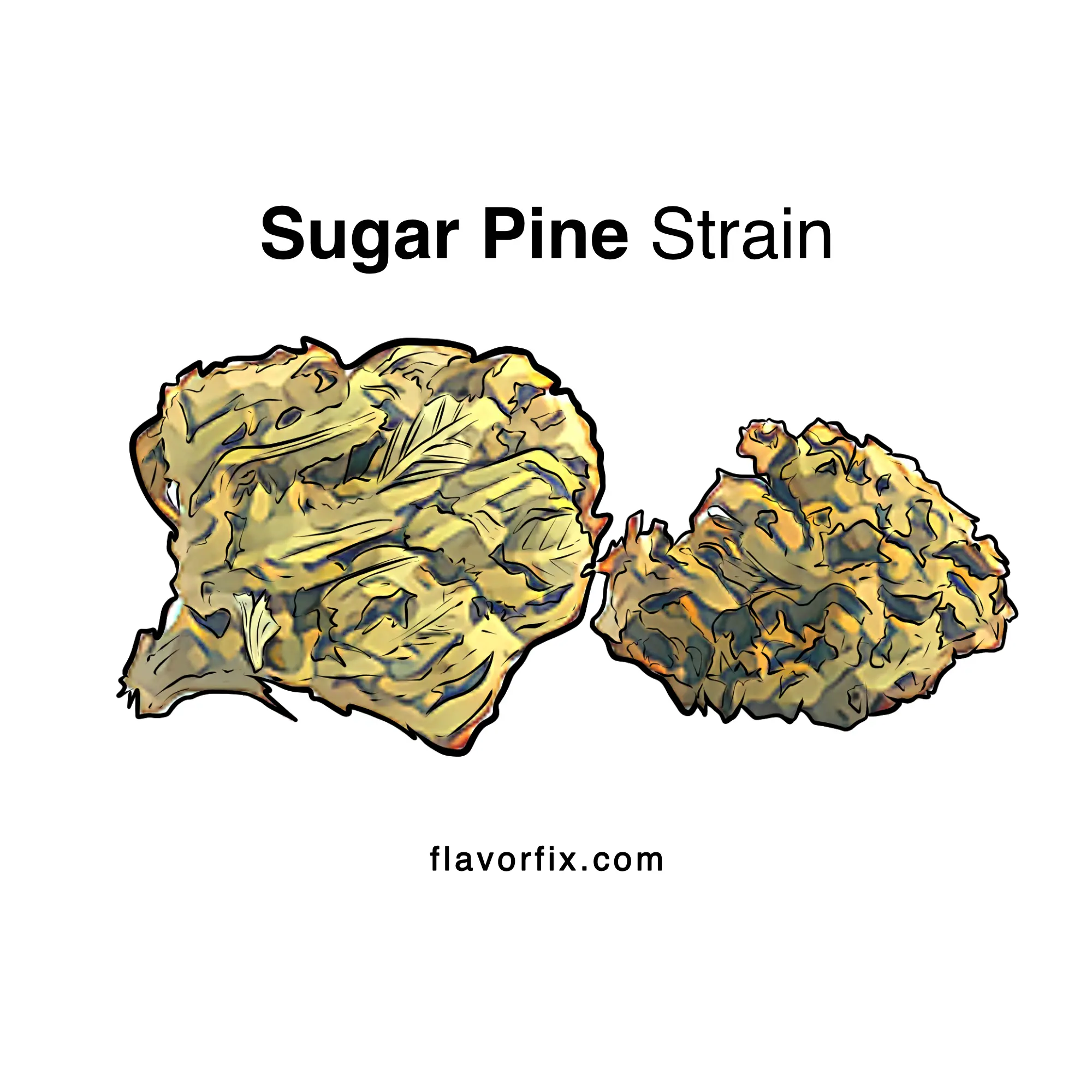 Sugar Pine Strain Effects, Ratings, THC & CBD Levels | Flavor Fix