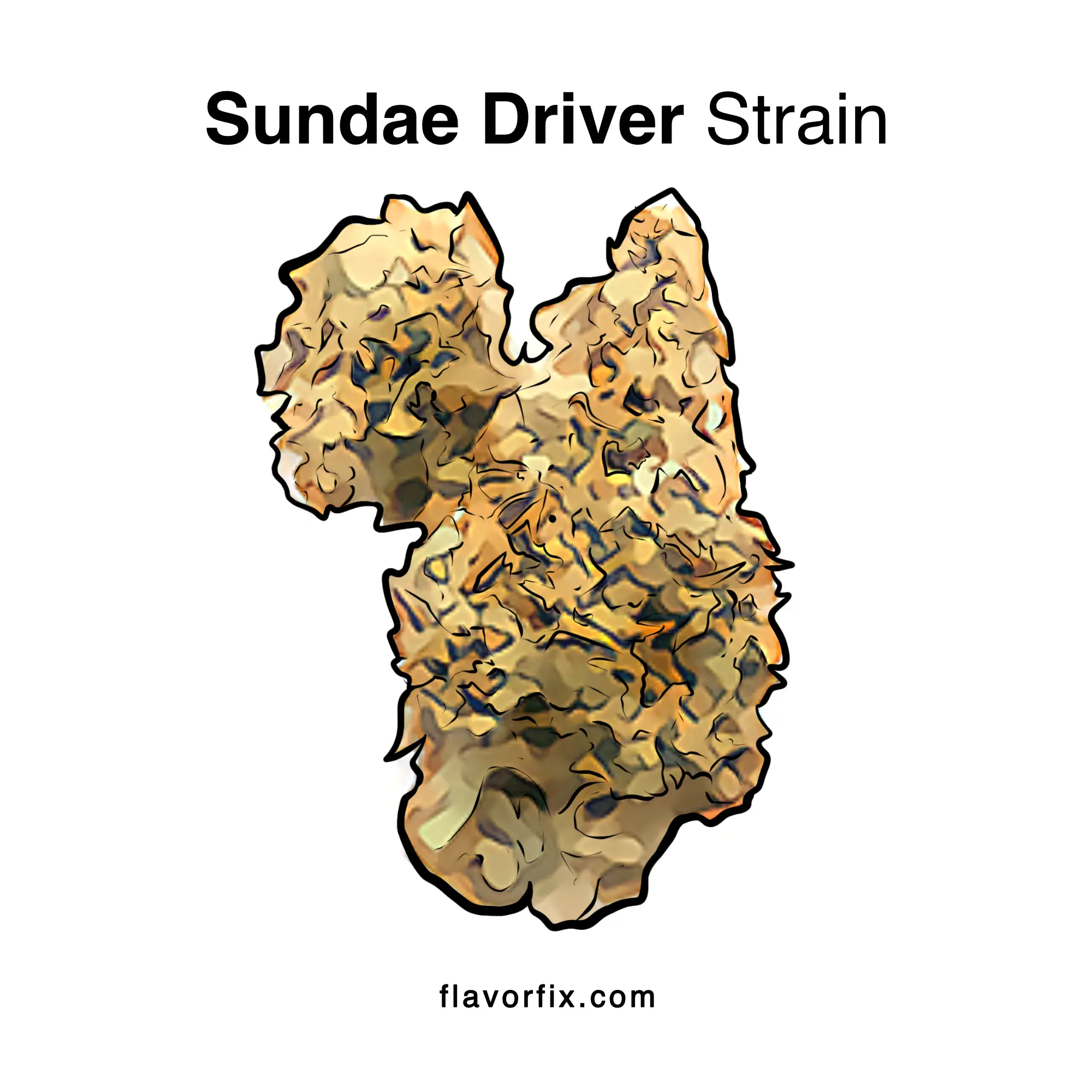 Sundae Driver Strain | Cannabis Strains Info | Flavor Fix