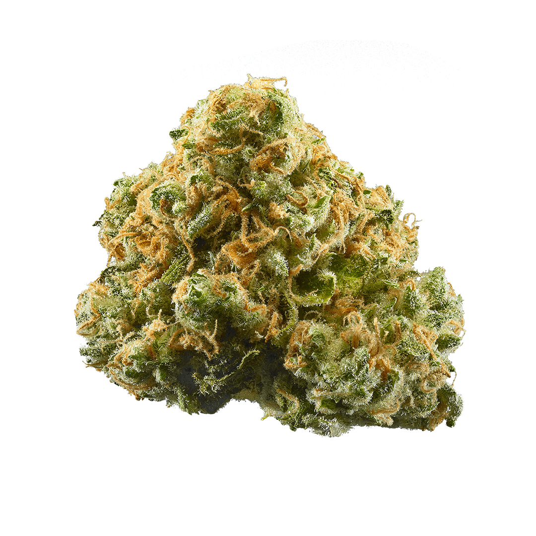 ACDC Strain Info & Effects | Cannabis Strains | Flavor Fix