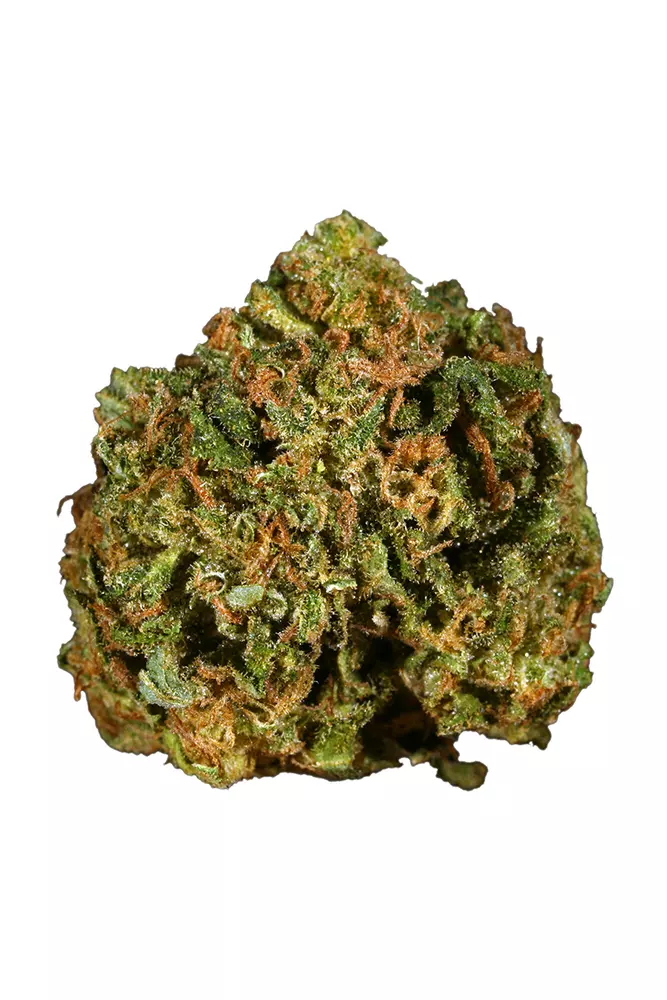 Pineapple Strain | Cannabis Strains Info | Flavor Fix