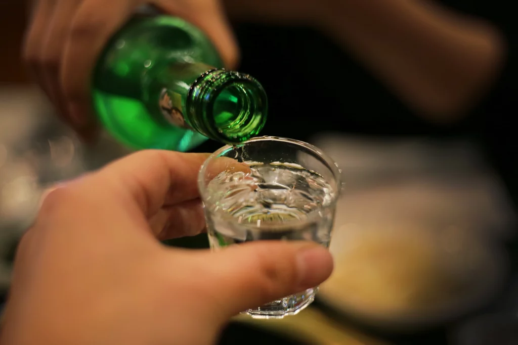 Premium Soju | 5 Top Brands | Flavor Fix