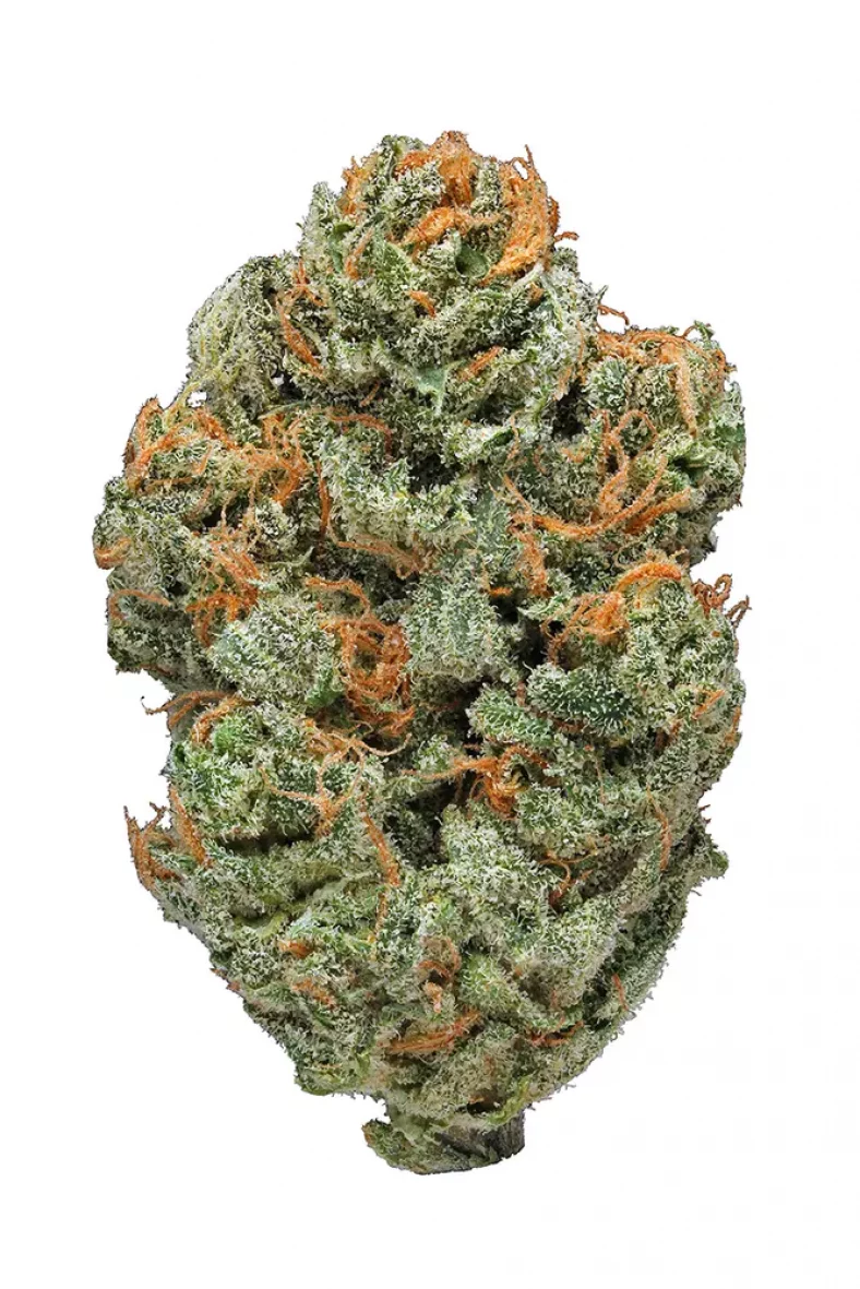 Space Queen Strain Info | Cannabis Strains | Flavor Fix