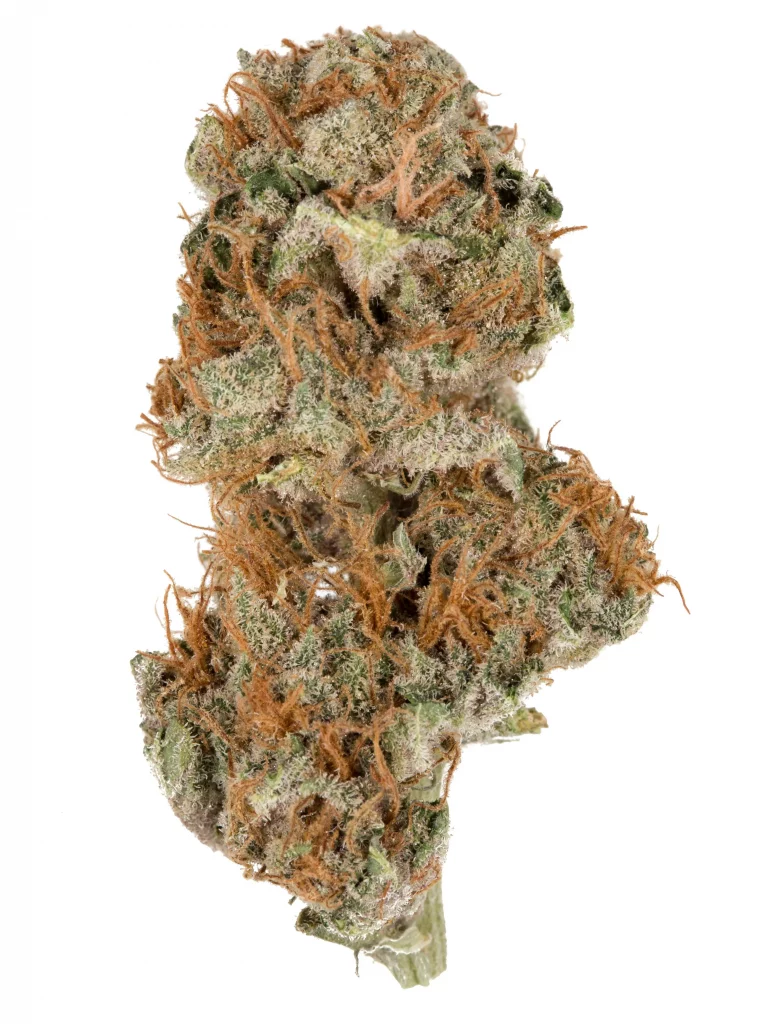 Purple Diesel Strain | Cannabis Strains | Flavor Fix