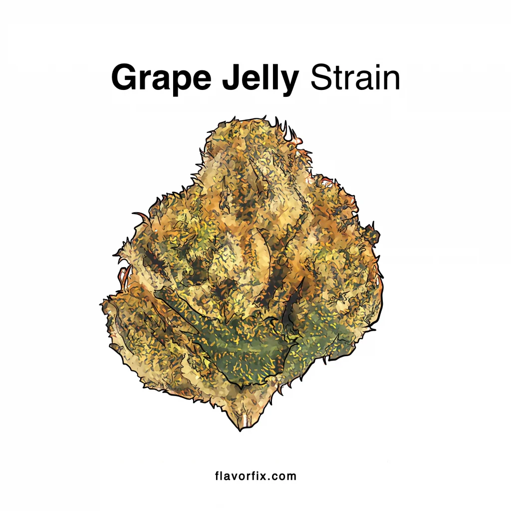 Grape Jelly Strain | Cannabis Strains Info | Flavor Fix