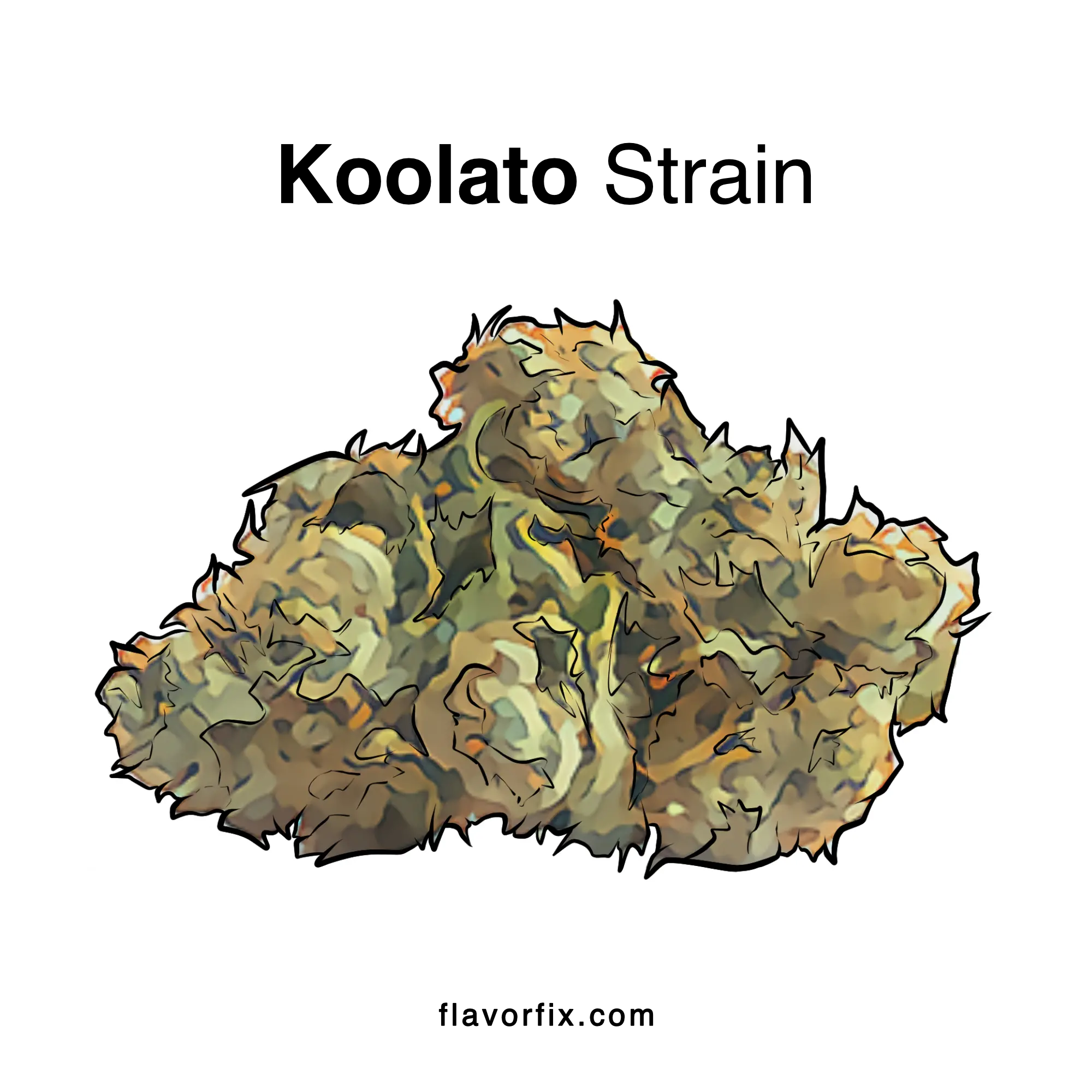 Koolato Strain Info | Cannabis Strains | Flavor Fix