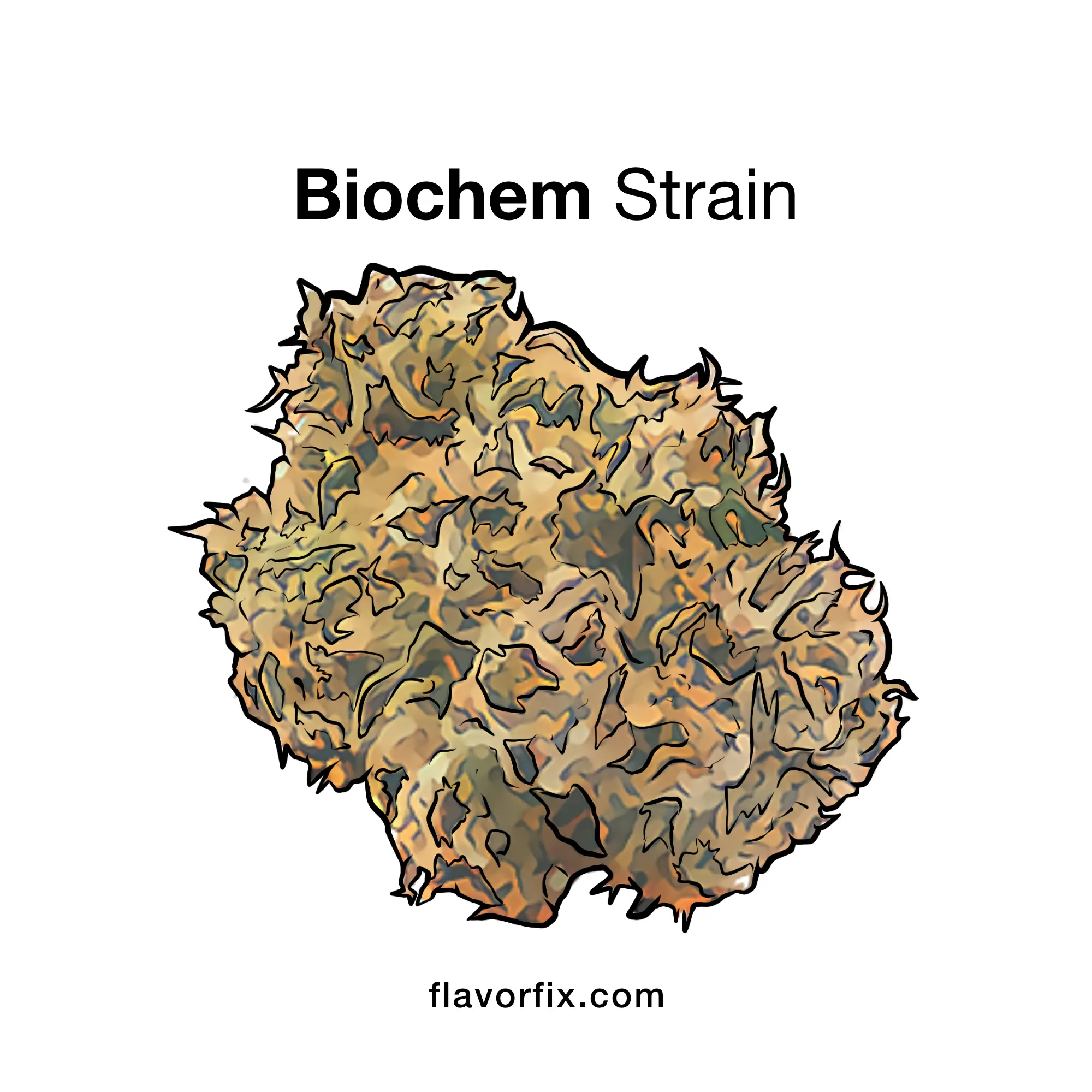 Biochem Strain | Biochem Weed Strain Review | Flavor Fix