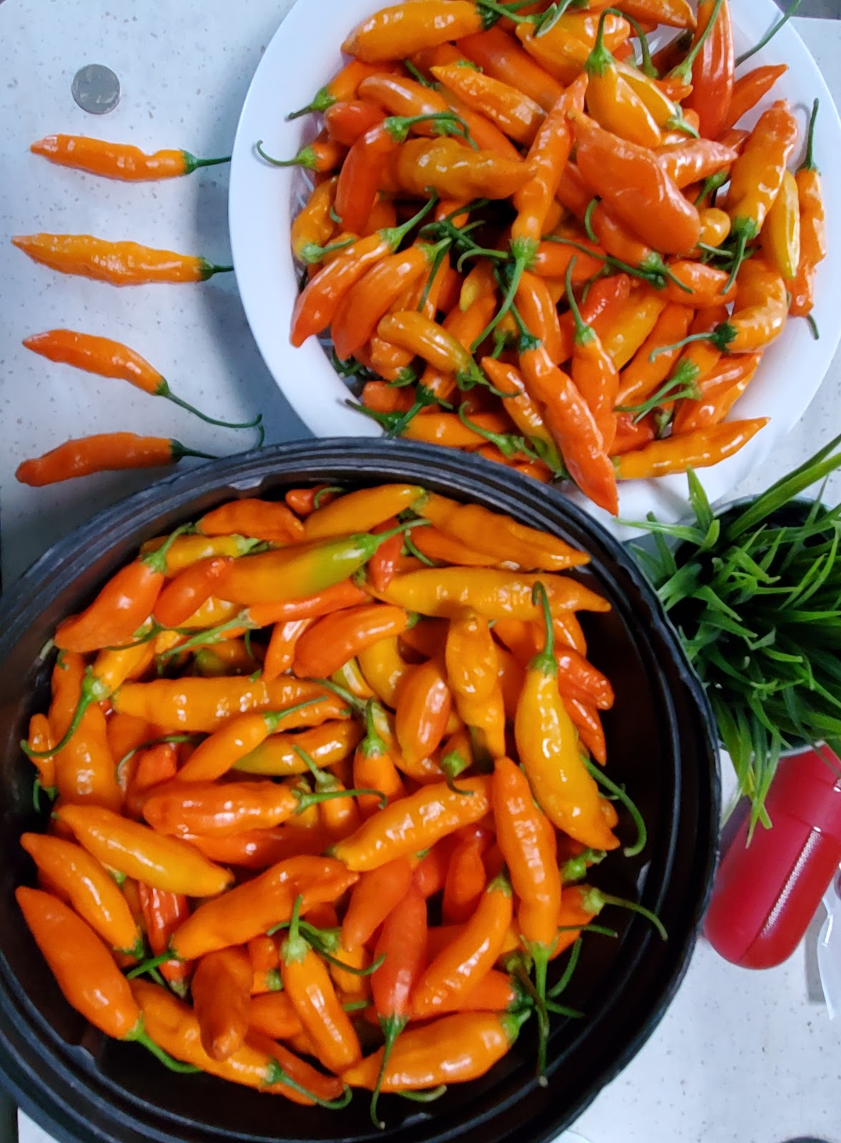 SkyFarm Labs - Flavor Fix