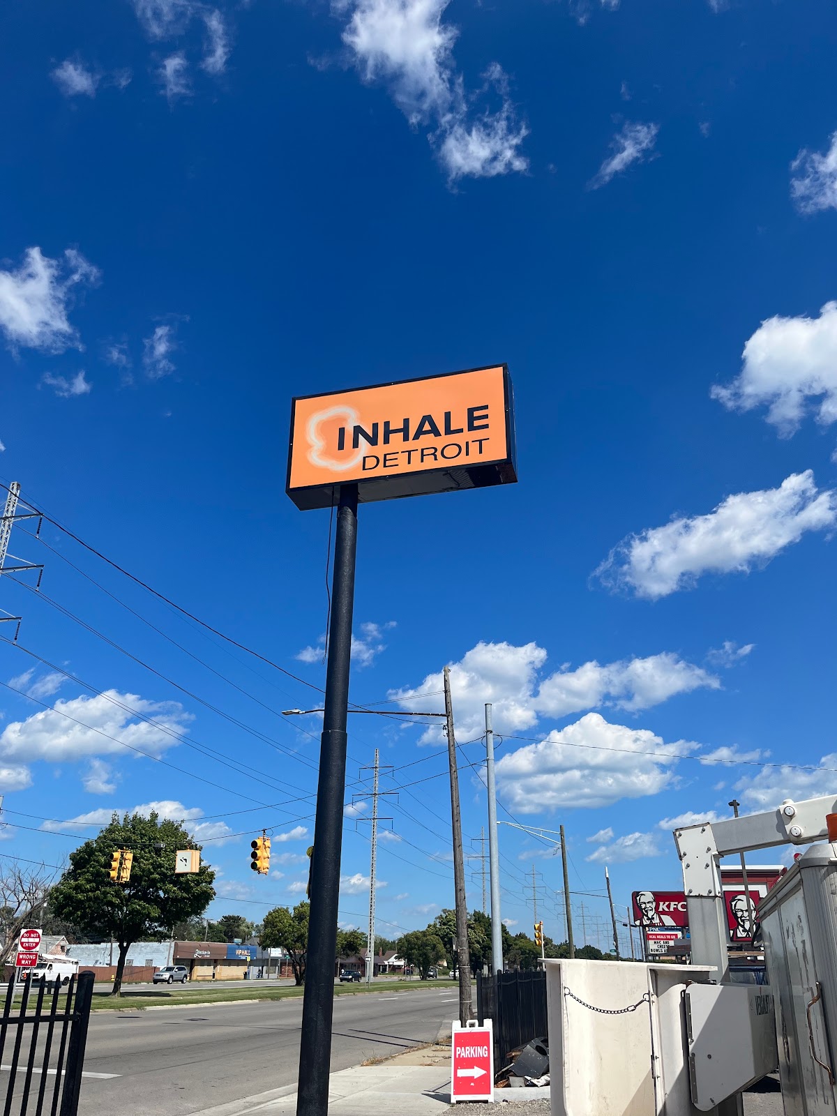 Inhale Detroit - Flavor Fix