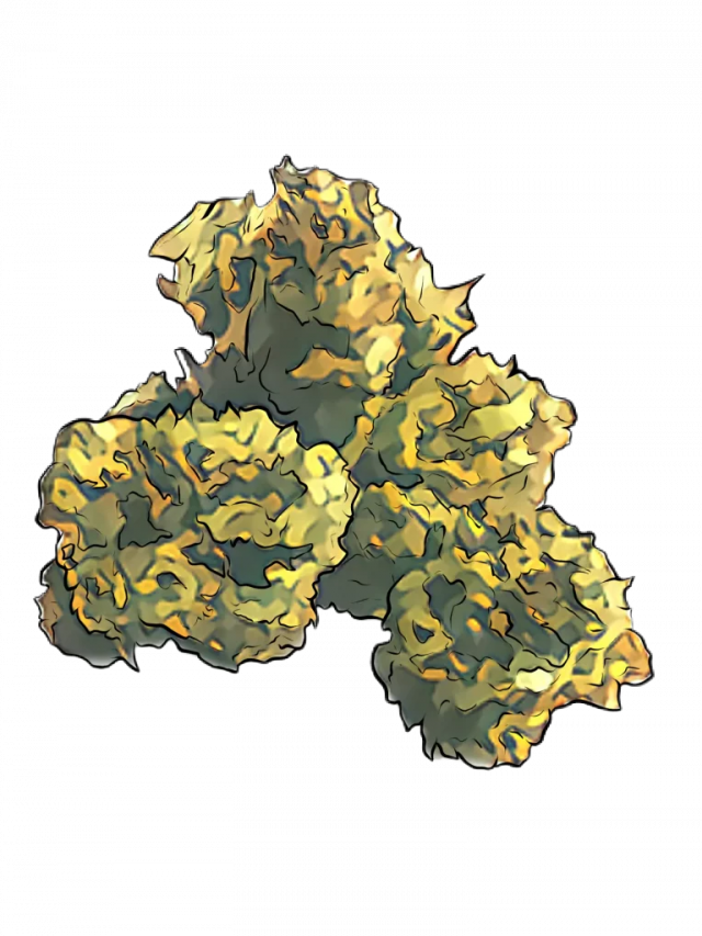 Bubble Cheese Strain — Funky, Full Body Relaxation - Flavor Fix