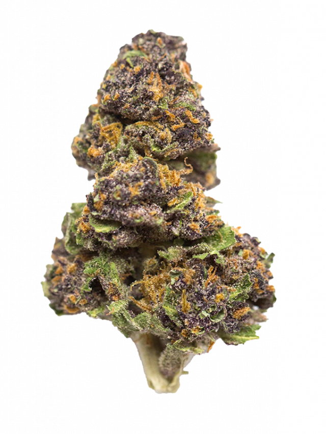 Agent Orange Strain — A Sneaky Mood Lifter - Flavor Fix