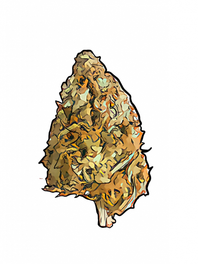 Booger Strain — Don’t Let the Name Deter You - Flavor Fix