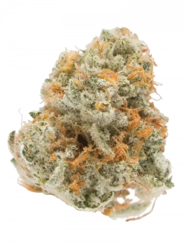 Double Dream Strain — It’ll Leave You Feeling Dreamy - Flavor Fix