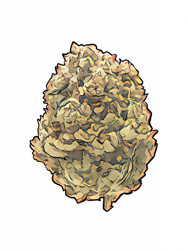 God’s Gift Strain — Paradise on Earth - Flavor Fix