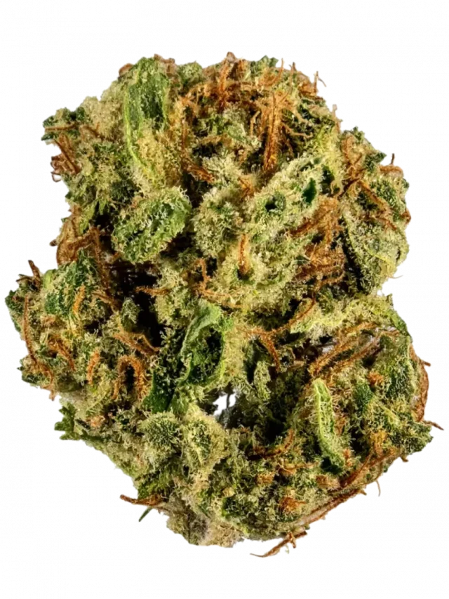 Gumbo Strain — Bubblegum Lovers Rejoice - Flavor Fix