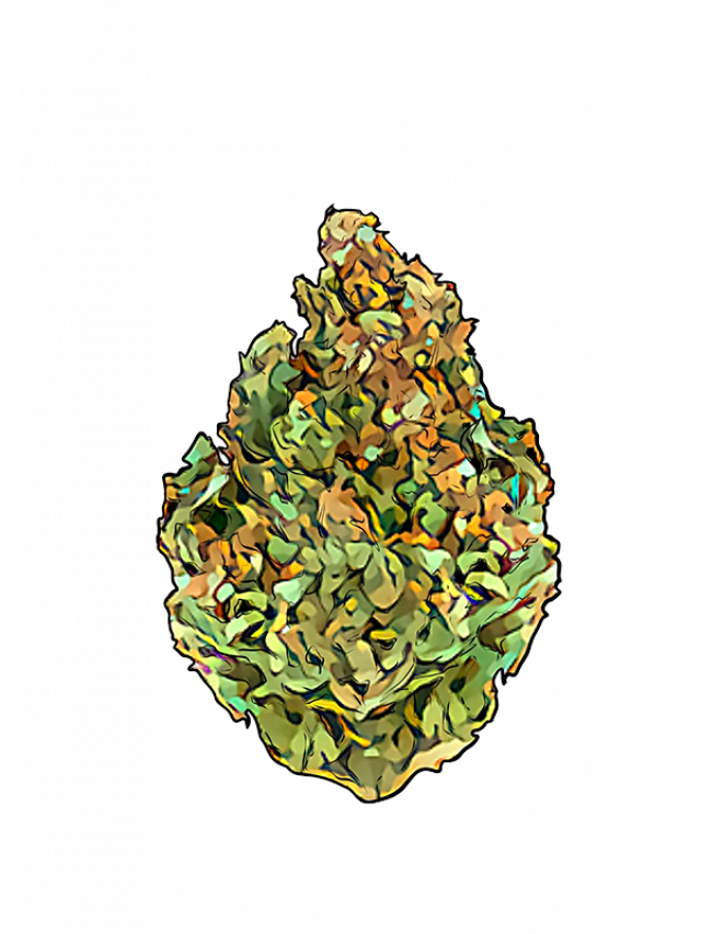 Kaya Golden Back Gorilla - Flavor Fix