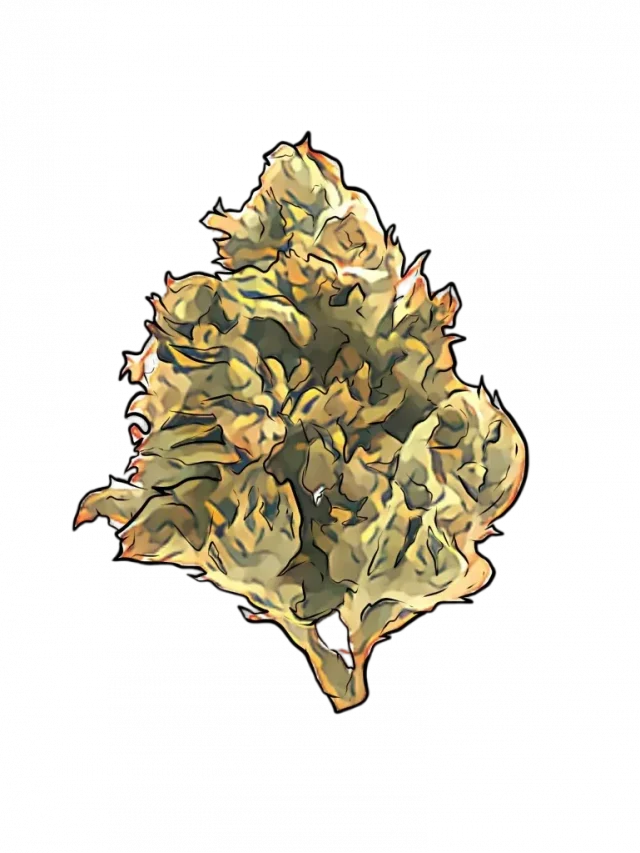 LA Confidential Strain — Best Kept Secret - Flavor Fix