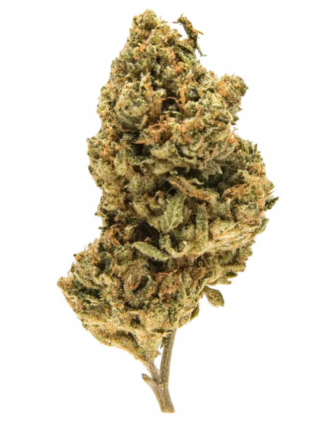 Legend OG Strain — Descended From the Legendary OG Kush - Flavor Fix