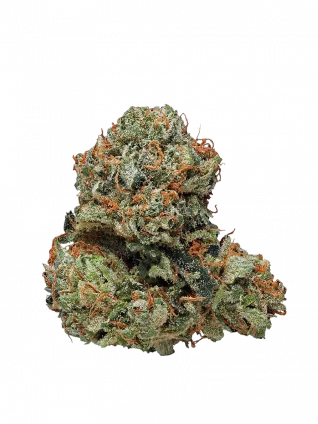 Kosher Kush Strain — An Award-Winning Hybrid - Flavor Fix