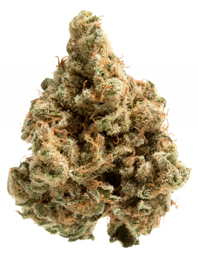 LSD Strain — Some Seriously Psychedelic Herb - Flavor Fix