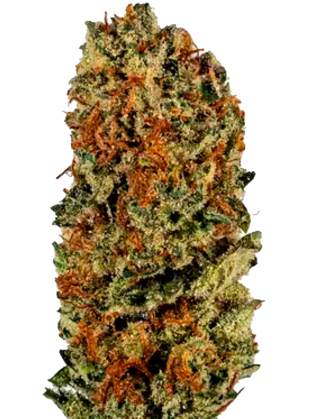 Lemon Meringue Strain — Smooth Lemon Sweetness for a Brighter Day ...