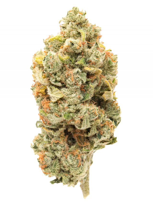 Lucky Charms Strain — For When You’re Feeling Lucky - Flavor Fix