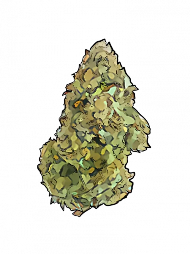 Mandarin TK Strain — Sublime Citrus Energy - Flavor Fix