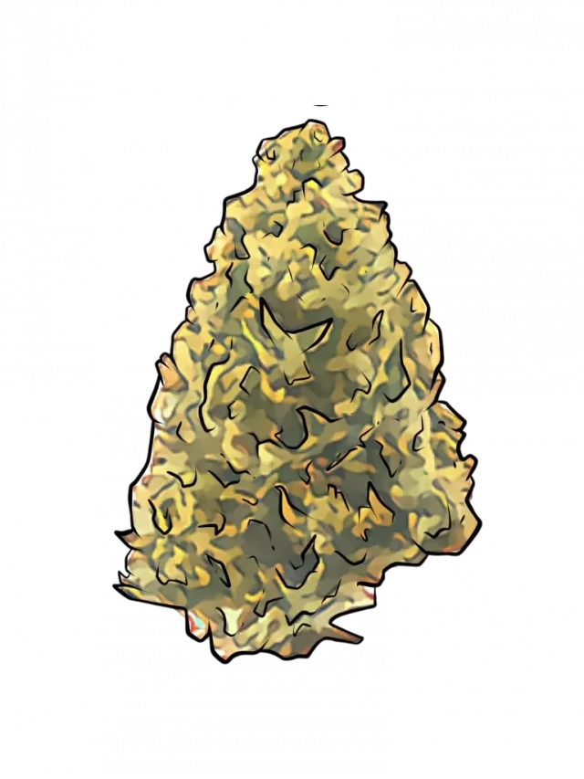 Northern Lights Strain — A Legendary High - Flavor Fix